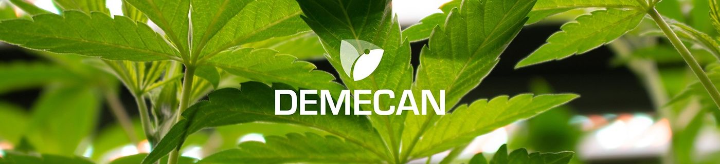DEMECAN » Über Uns