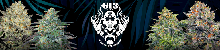 G13 Labs » Exklusive 🥇Gutscheine und 🥇Deals
