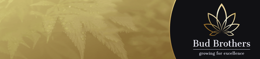 Bud Brothers Zubehör Produkte kaufen - Weed.de