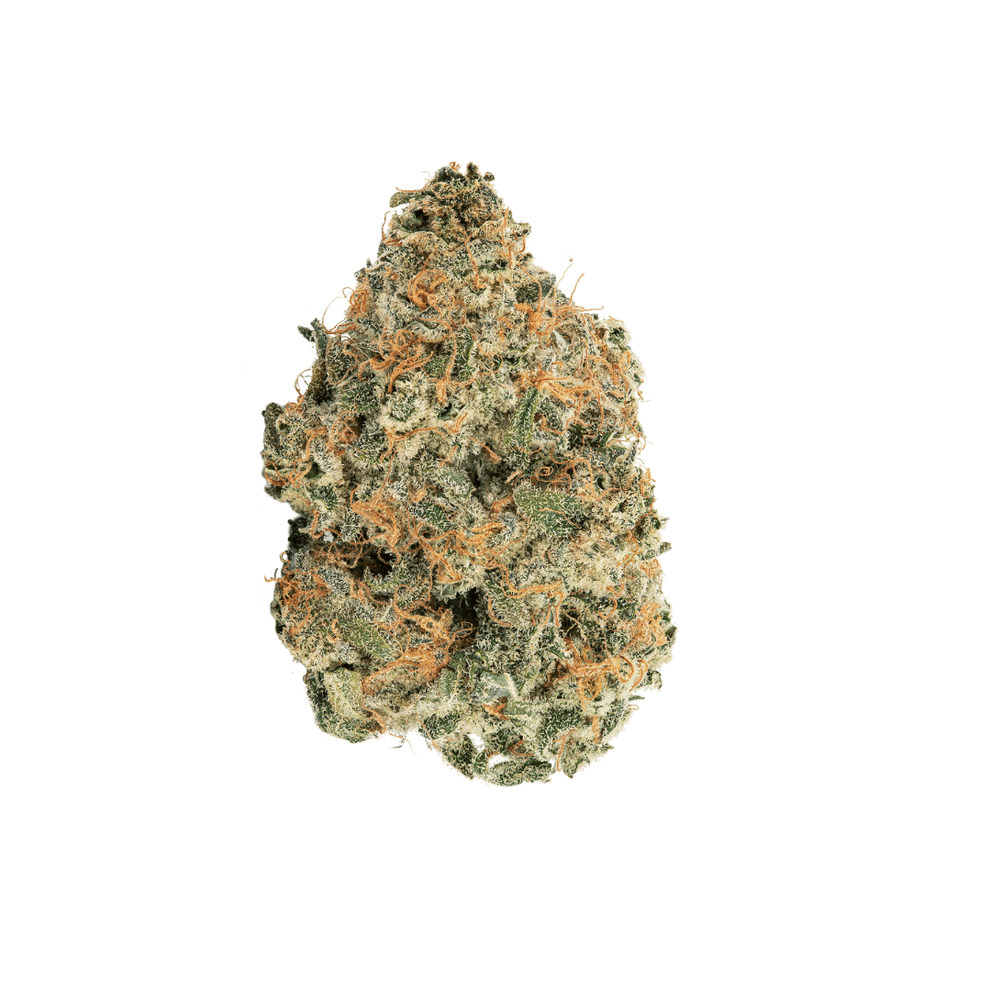 avaay 26/1 SCP » Live Bestand